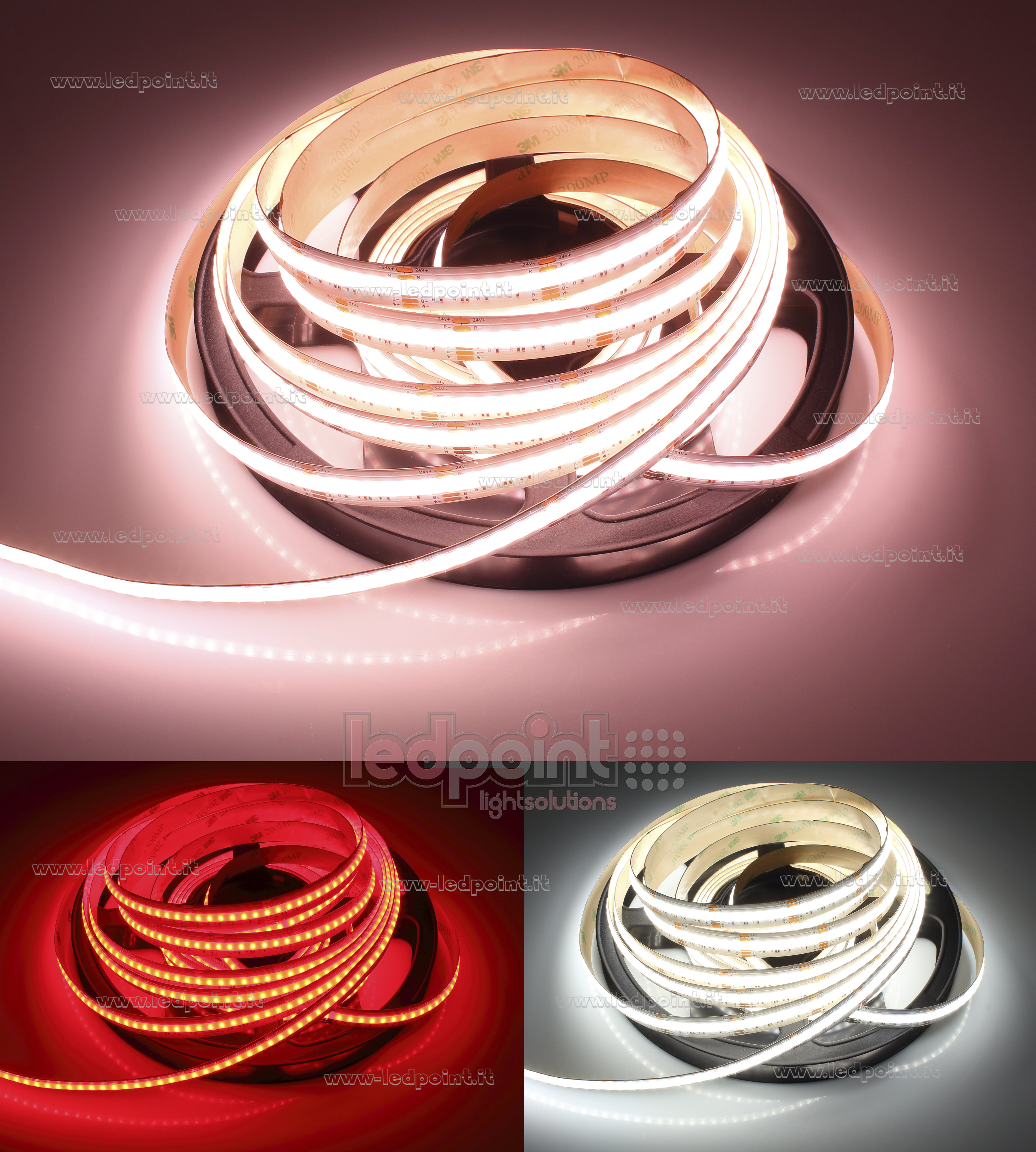 Ledpoint S.r.l. | COB RGB + white 4000K led strip CRI Ra>90 840led/m ...