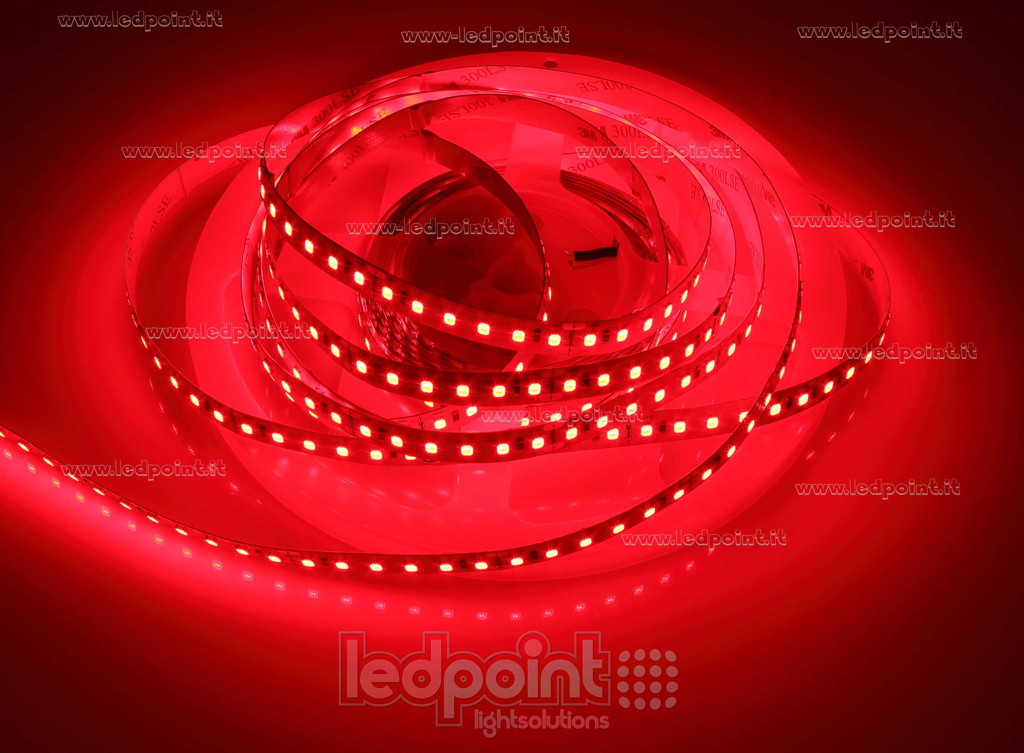 Red LED strip 5m 120leds/m 2835 24V 24W/m | Ledpoint S.r.l.