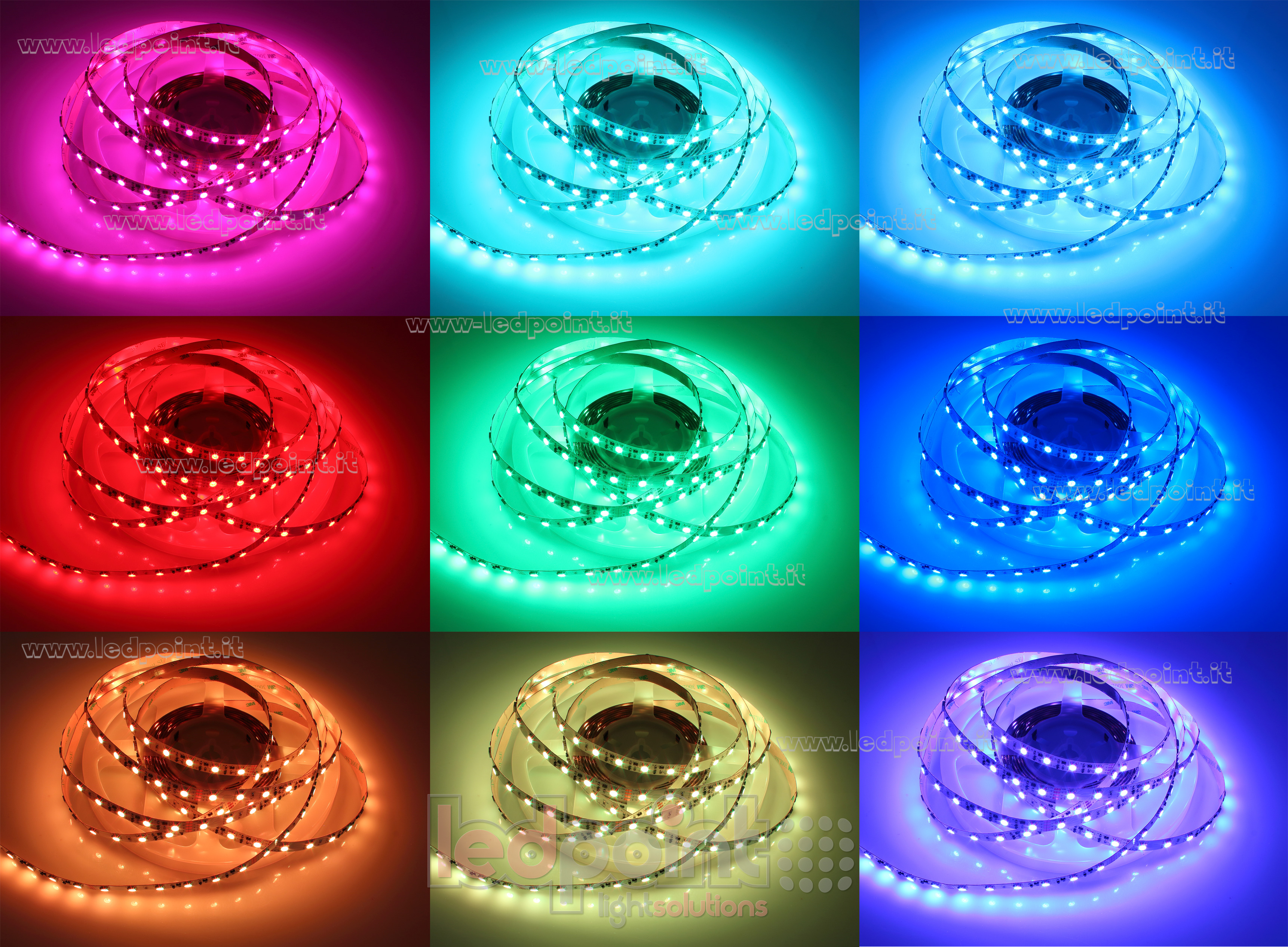 Ledpoint S.r.l. | RGB LED strip 5m 60 leds/m Honglitronic 5050 24V 14 ...