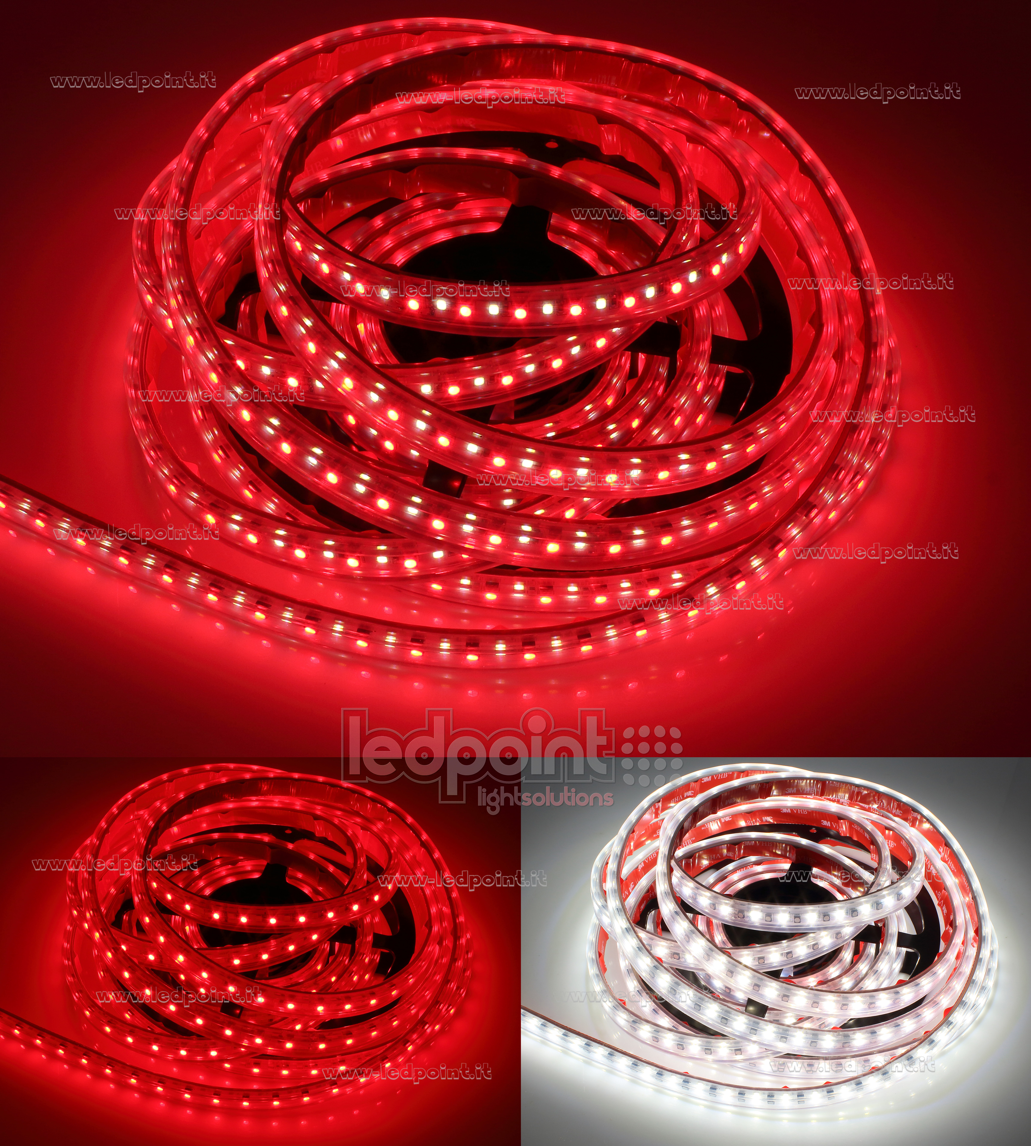 Ledpoint S.r.l. | Striscia led 5m RGB 3535 + bianco 4000K 3step 2835 ...