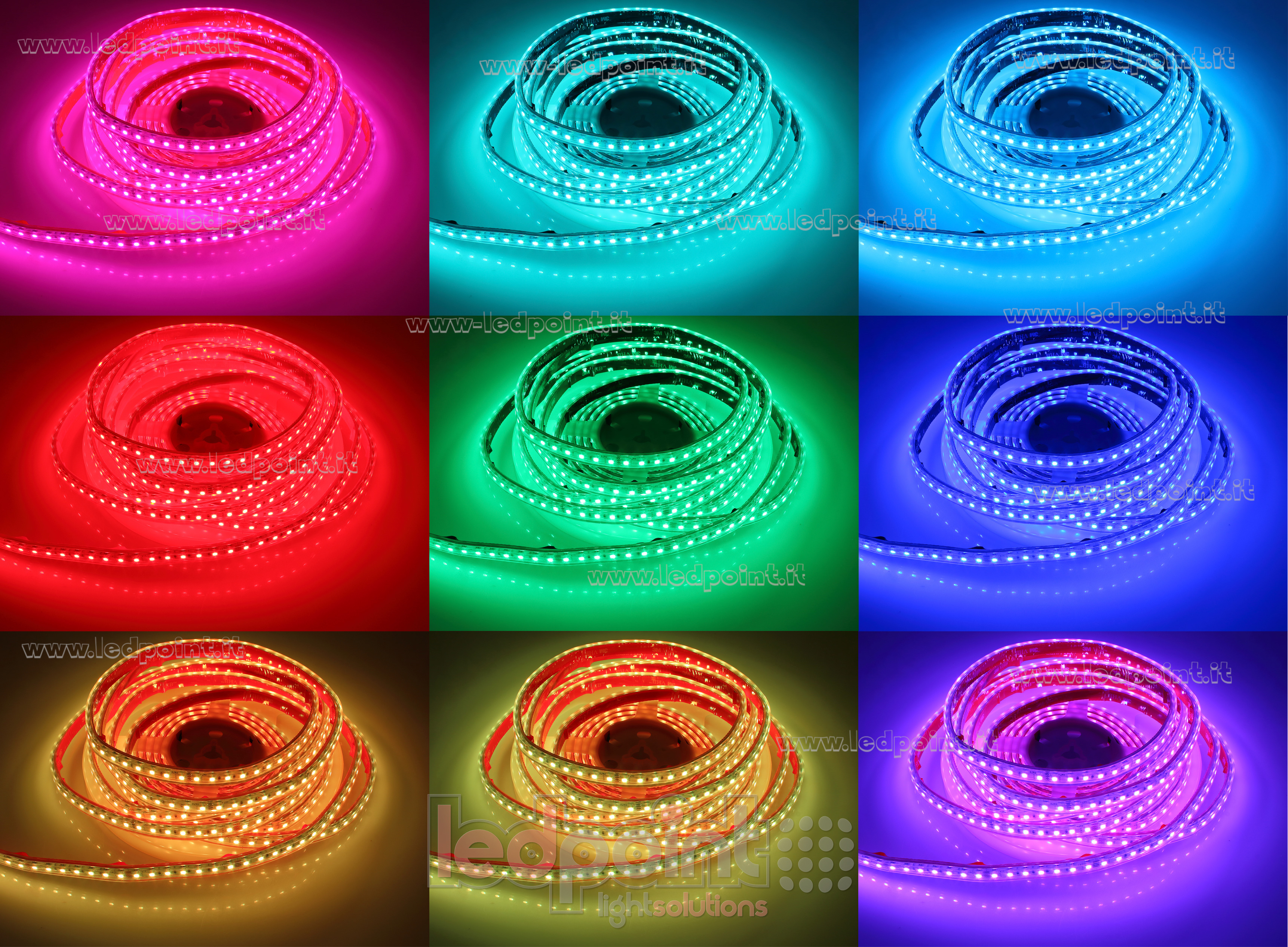 Ledpoint S.r.l. | RGB LED strip 5m 3838 112led/m 24V 16W/m PCB 8mm ...