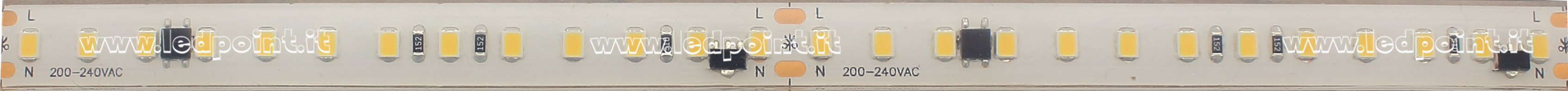 Ledpoint S.r.l. | Warm white light | 25 meter led strip