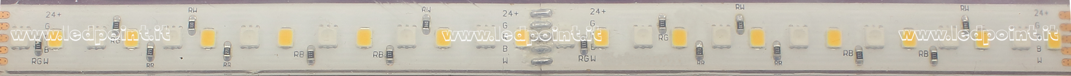 Ledpoint S.r.l. | 3838 RGB + 2835 warm white 3000K 3step led strip 5m ...
