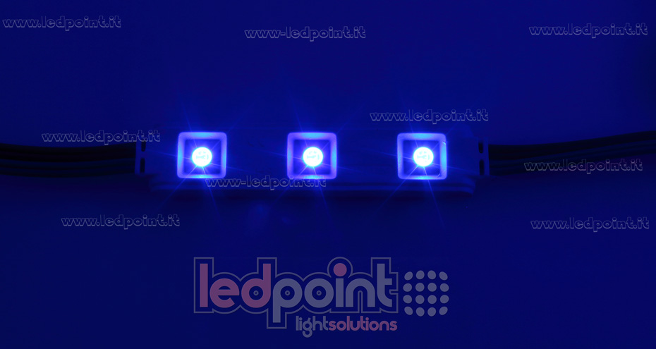 Ledpoint S.r.l. | Modul RGB LED 12V 0,72W IP65
