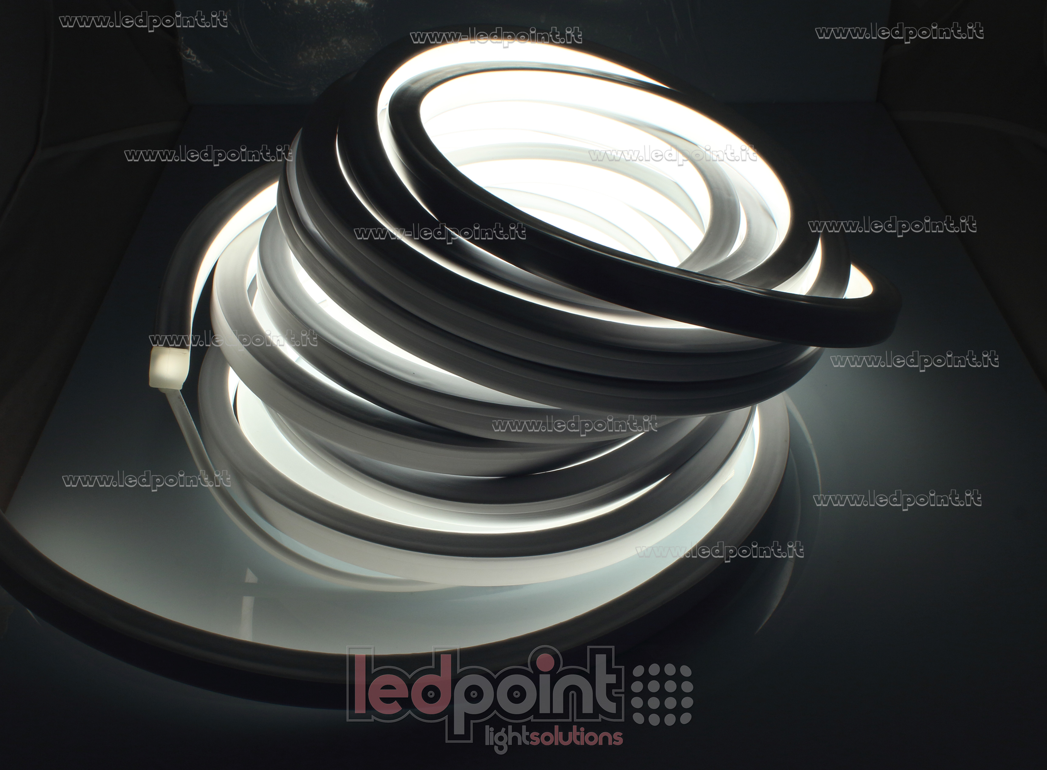 Ledpoint S.r.l. | Led Neon Flex 17mm white 4000K 3528 24V 9W/m 120led/m ...