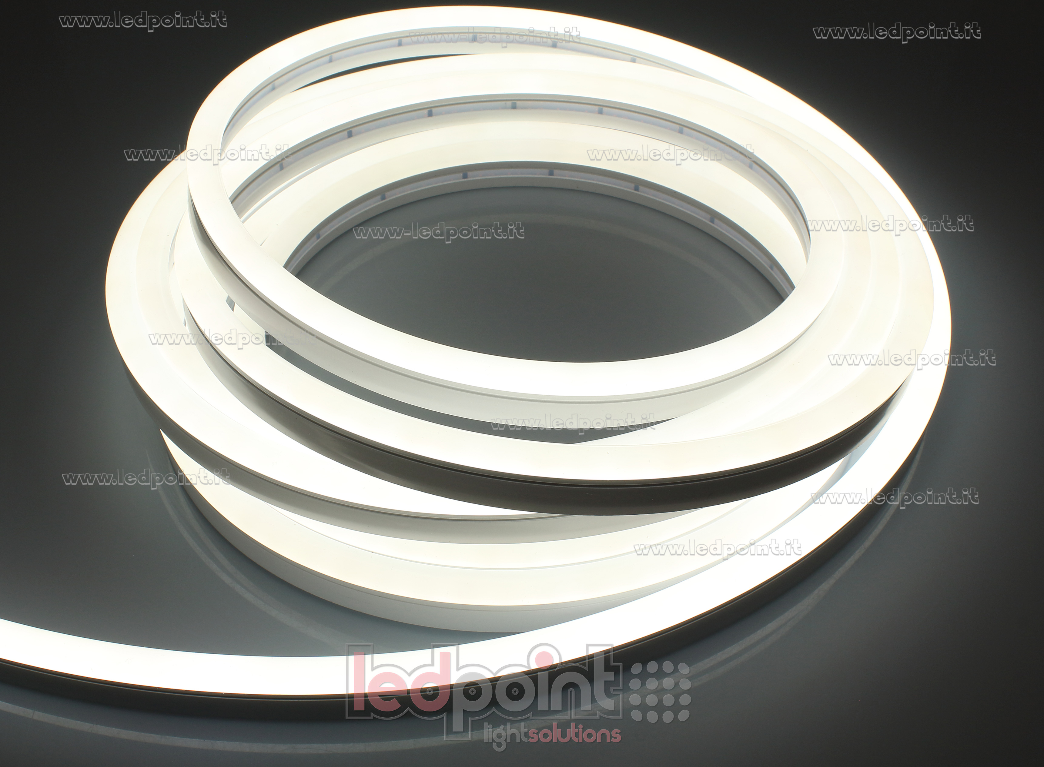 Ledpoint S.r.l. | Led Neon Flex 8x17mm white+red 2835 12V 14,4W 192led ...