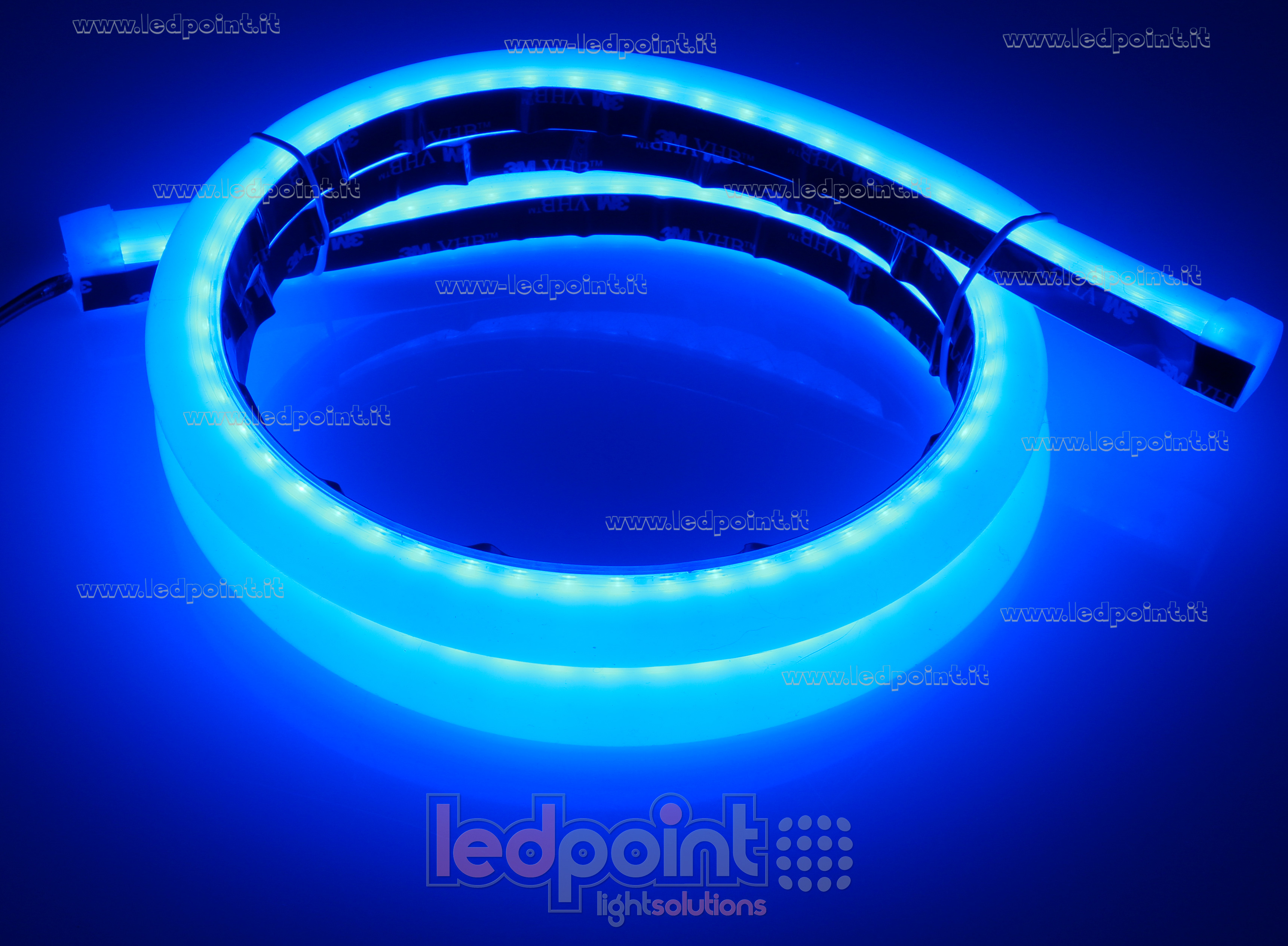 Ledpoint S.r.l. | LED strip 5m blue 2835 120 led/m 24V 9,6W/m, IP67 ...