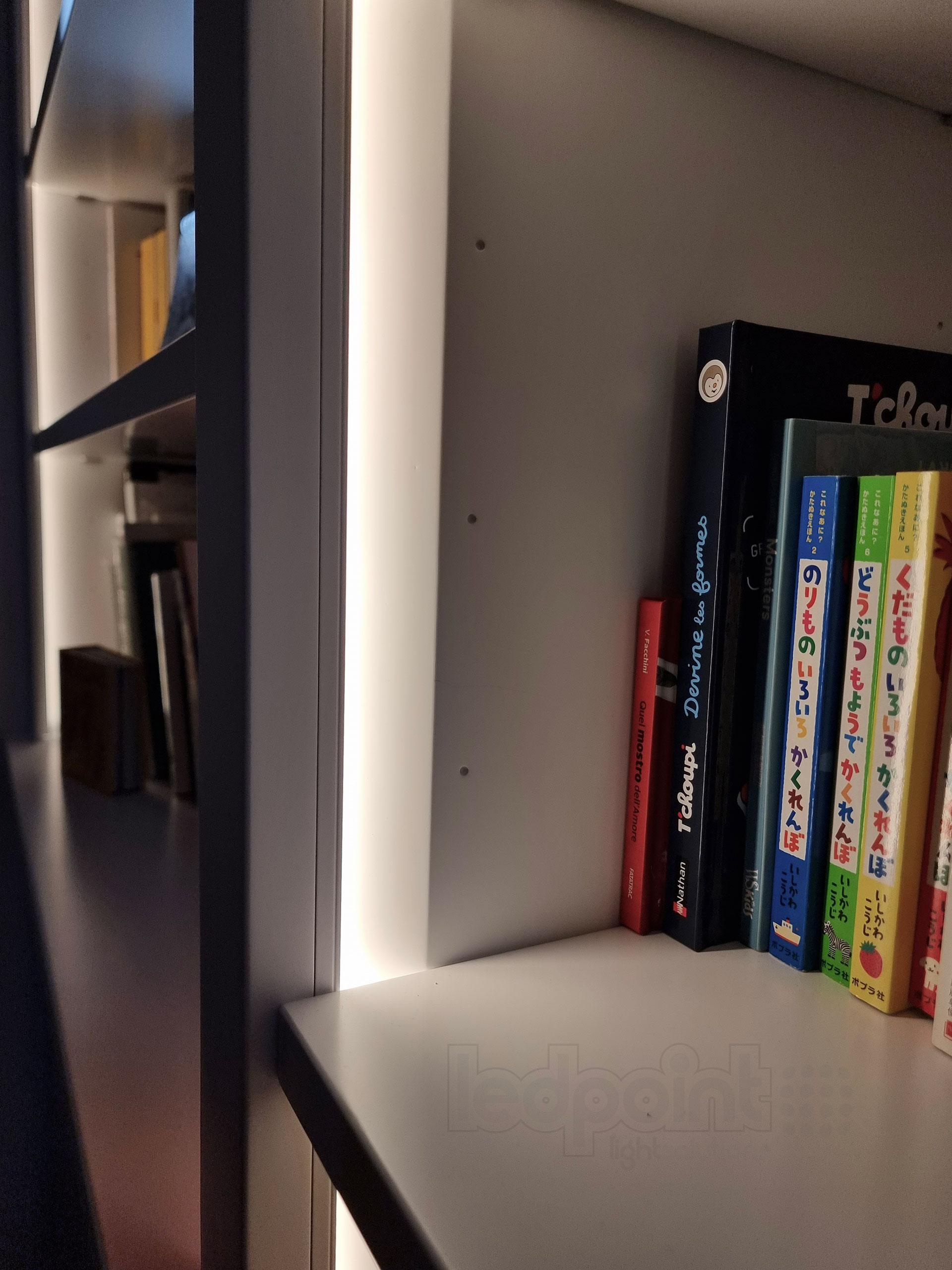 Ledpoint S.r.l. | Lighting a bookcase
